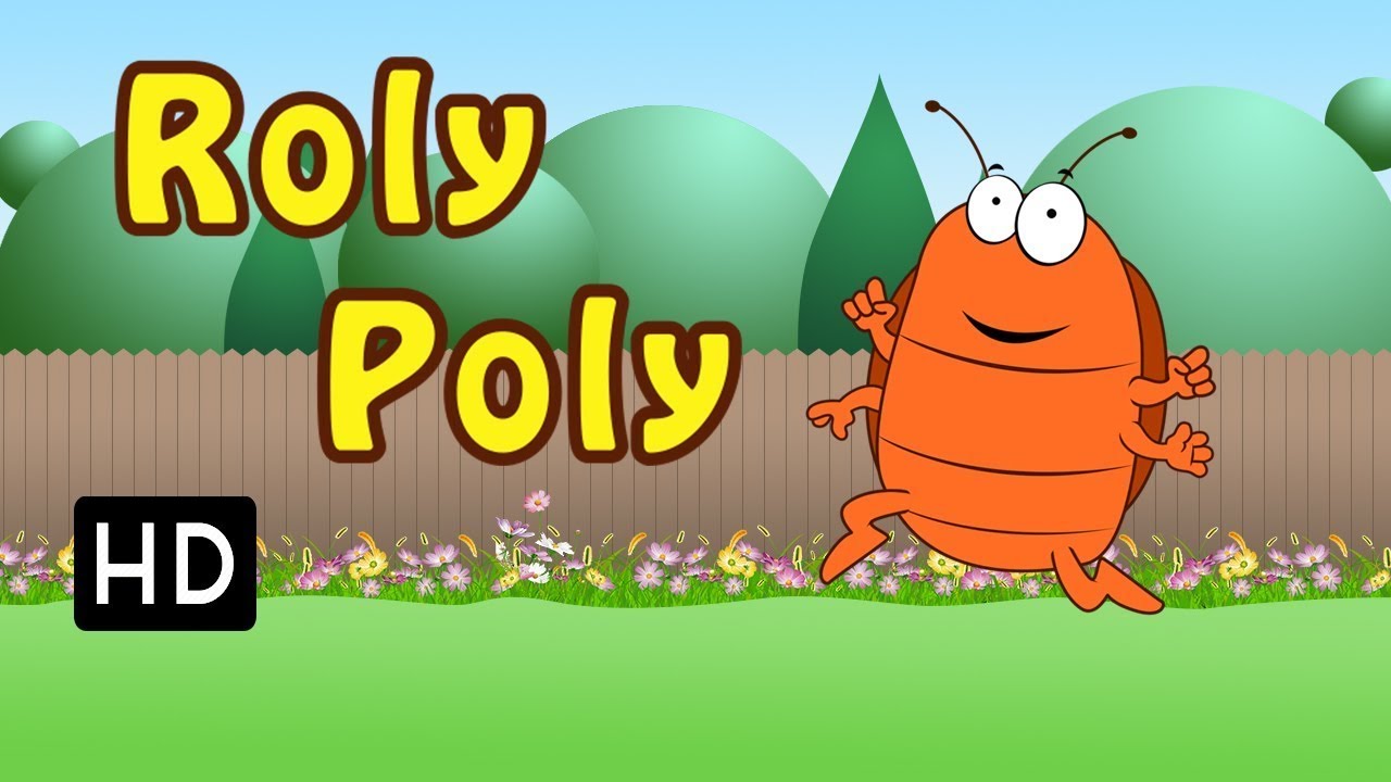 roly poly rhymes / Pe KG / LKG / UKG / STORIES /education - YouTube