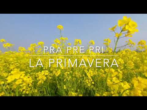 PRA PRE PRI LA PRIMAVERA YA ESTÁ AQUÍ. Canción infantil sobre la primavera