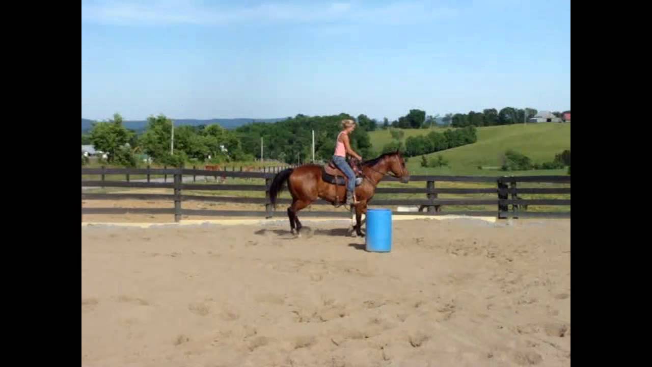 AQHA PLAYGUN GRANDSON - YouTube