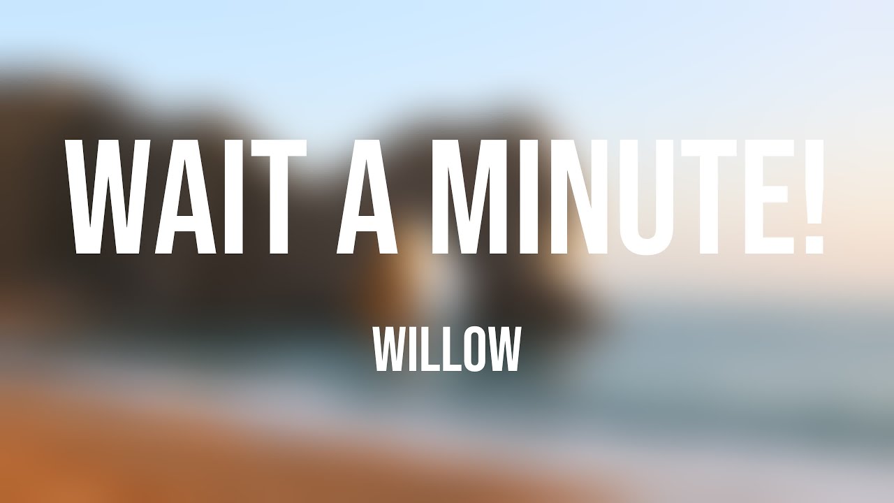 Wait a Minute! - Willow (Lyrics Video) 💵 - YouTube