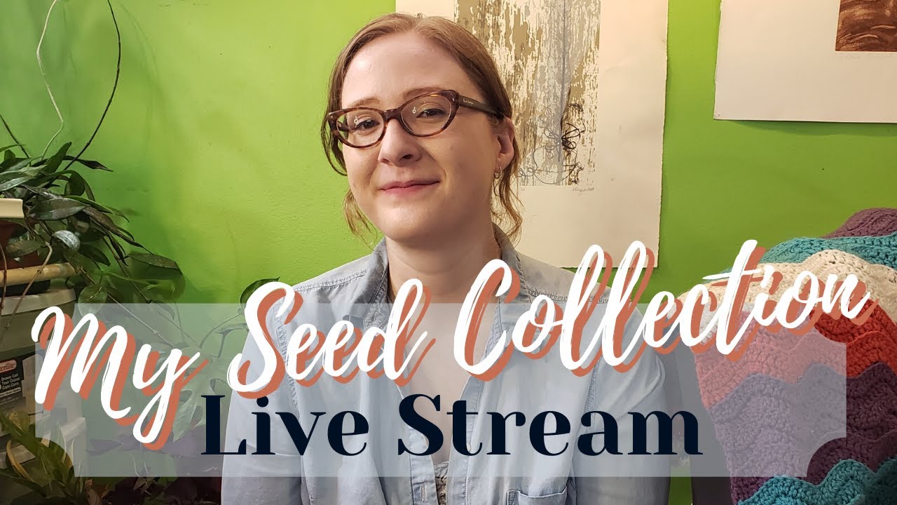 My Seed Collection | First Ever Live Stream ! - YouTube