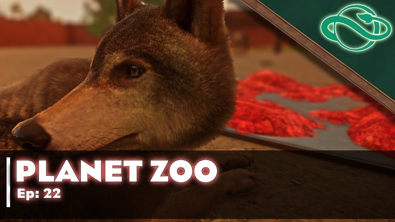 Come Howl With The Wolves In Their New Habitat! | Planet Zoo Ep: 22 ...
