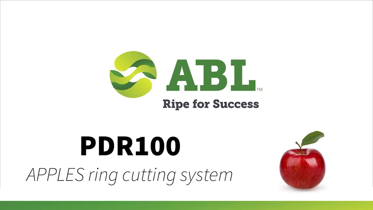 PDR100 Ring Cutting System - YouTube