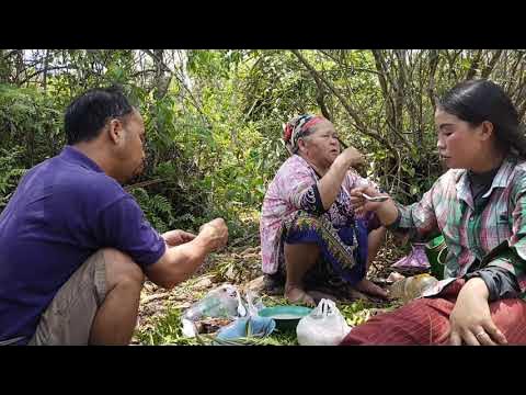 Hnub no peb mus cog pob kws os cov phooj ywg 2/5/2023 - YouTube