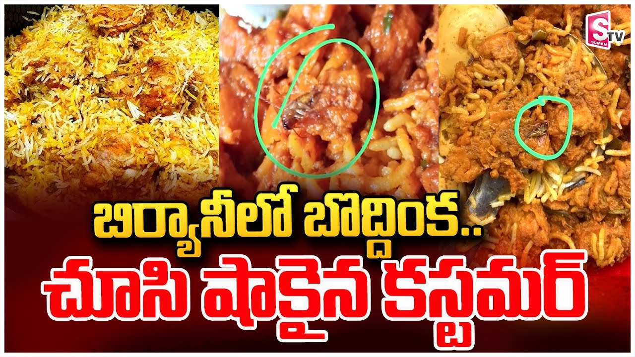 బిర్యానీలో బొద్దింక.. Cockroach Found in Biryani | Viral News | SumanTV ...