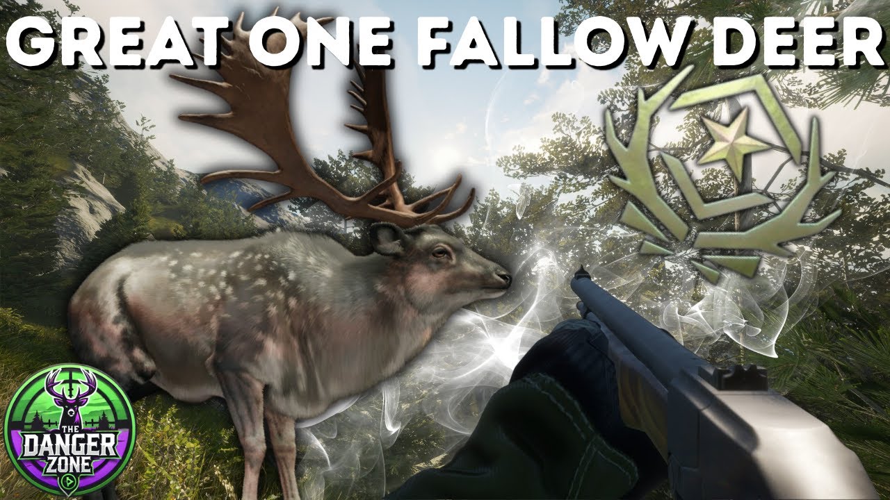 Absolutely Smoked My SECOND EVER Great One Fallow Deer In Front of My ...
