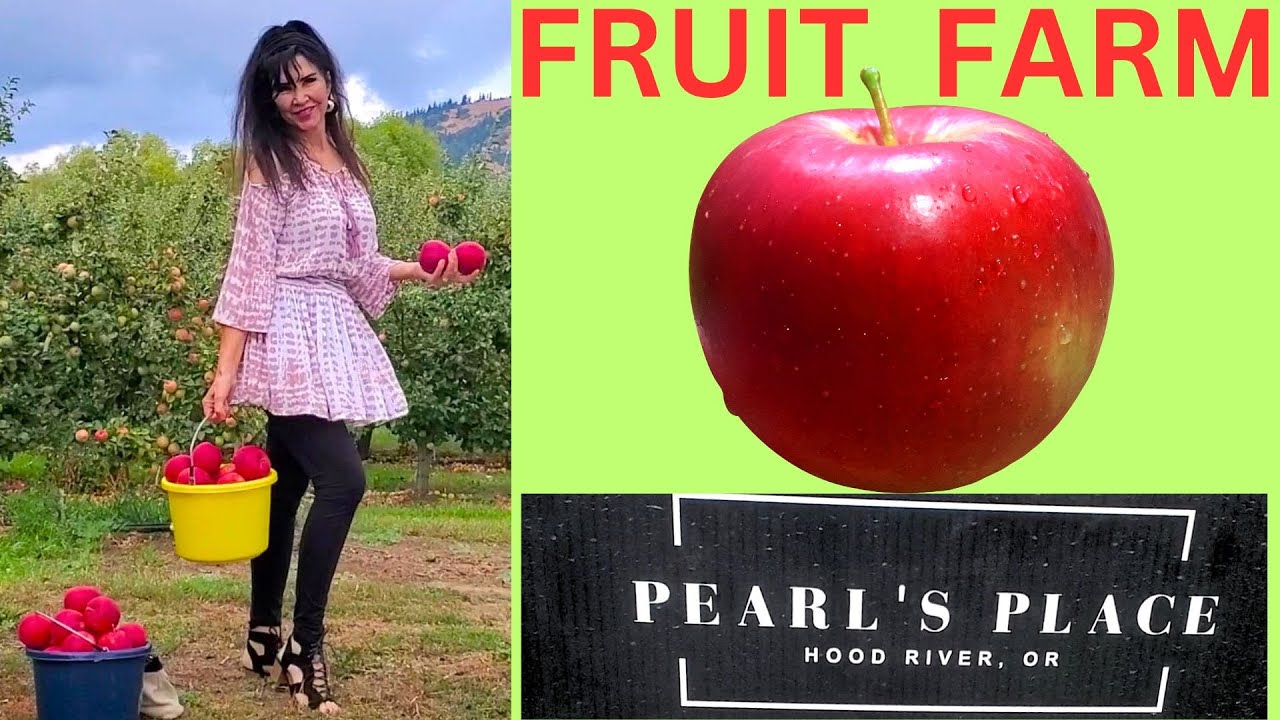 Apple Farm Fun in Hood River Oregon - YouTube