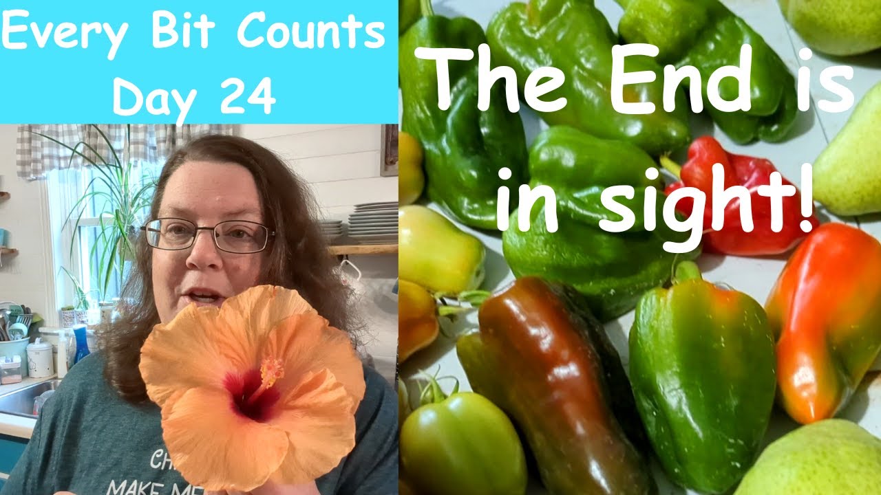 Every Bit Counts Day 24/Hurry Up And Wait! #everybitcountschallenge # ...