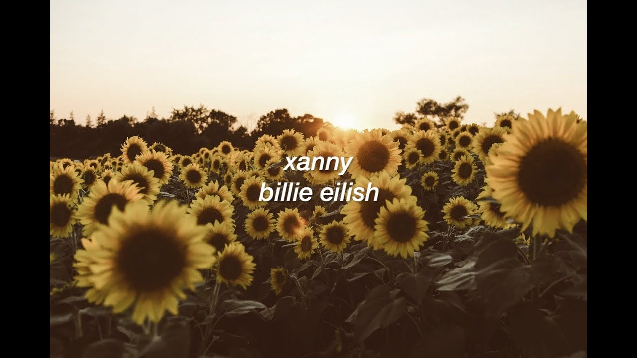 Xanny (Lyrics) - Billie Eilish - YouTube