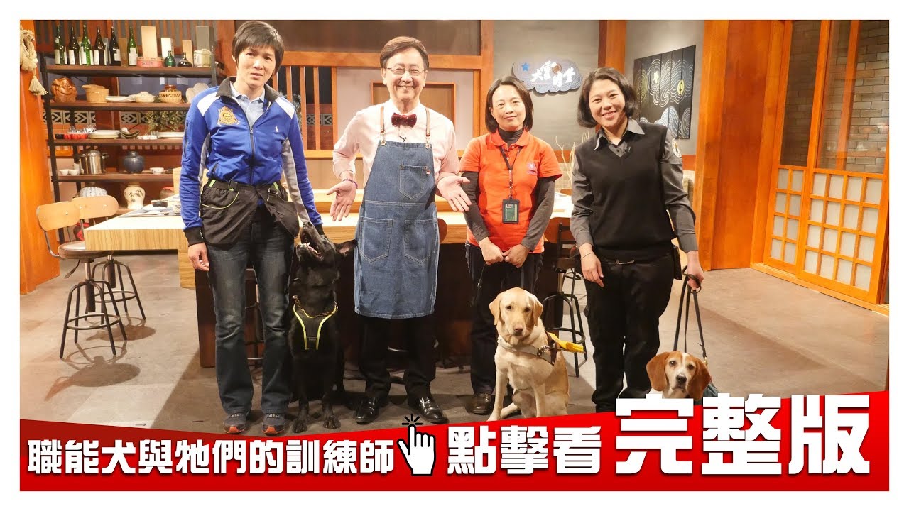 【完整版】職能犬與牠們的訓練師 20190116【賴巧釋、Jedi、陳雅芳、Sherry、邵秀蘭、Asko】 - YouTube