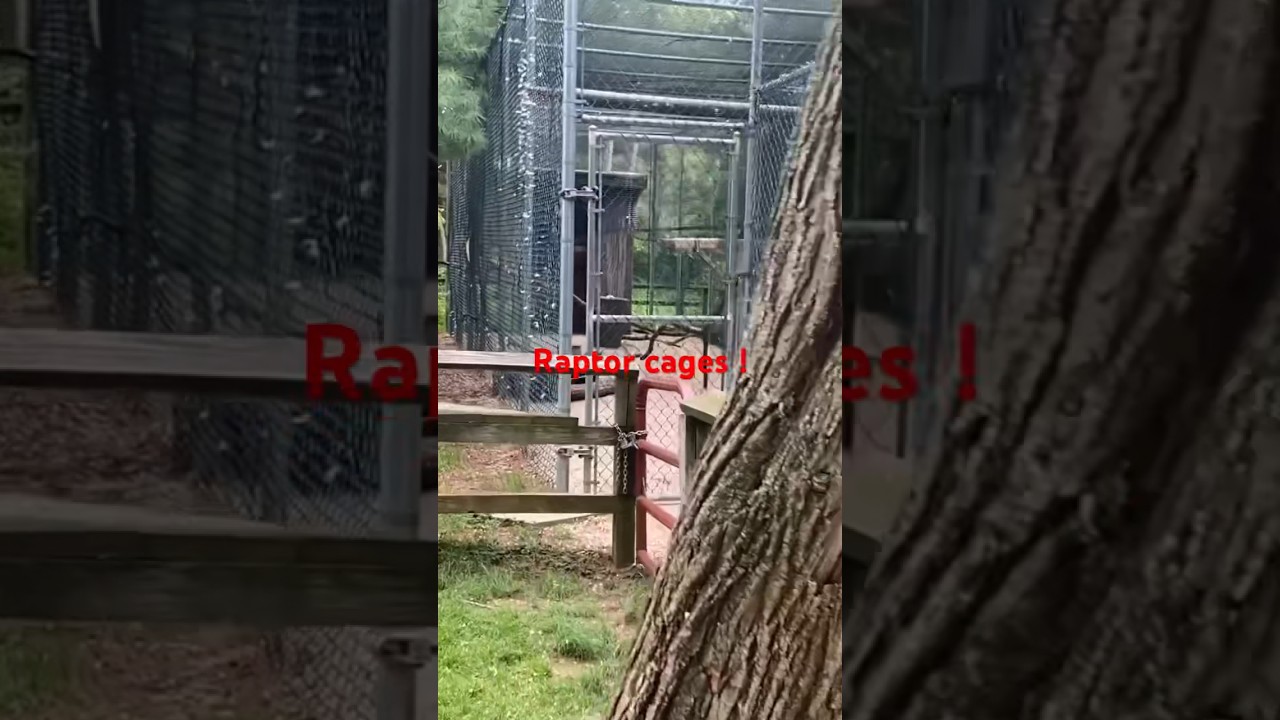 Raptor cages along Bear Branch Vista Trail @dayhikingandherpingdudes ...
