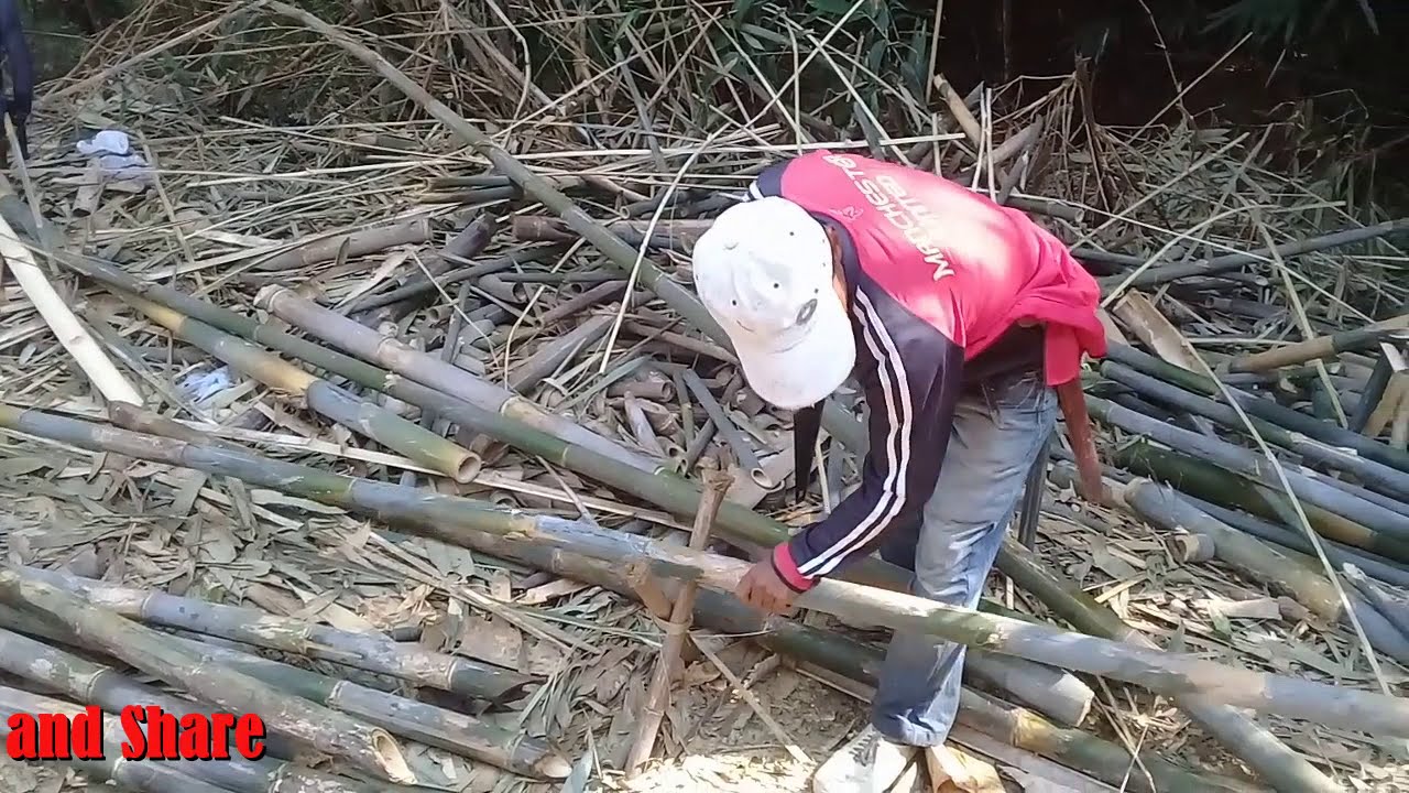Cara Membuat Lanjaran dari Bambu Tali - YouTube