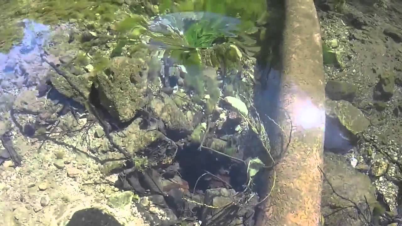 Viral Video UK: GoPro captures mini river vortex - YouTube