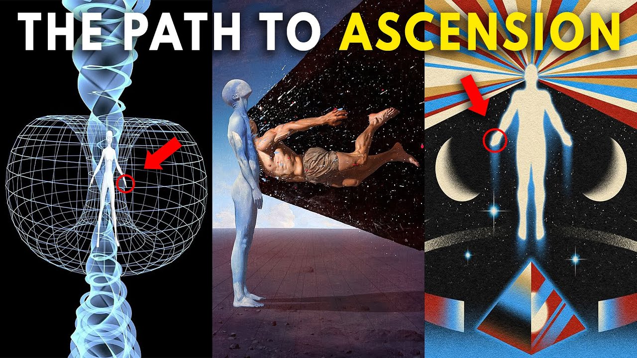 You Were Never Human: The 12 Stages From Hue-Man To Pure CONSCIOUSNESS ...