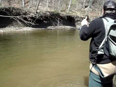Fishing for Steelhead on the Vermillion River, Ohio. - YouTube