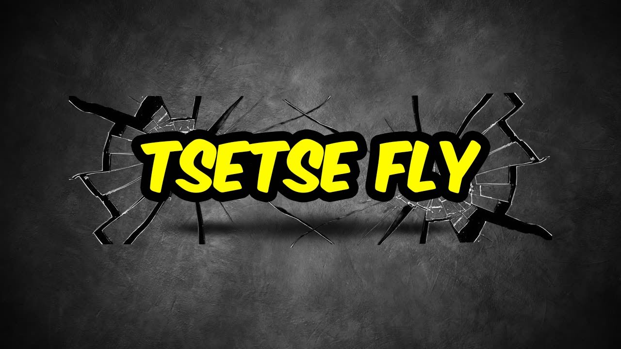 TSETSE FLY PRONUNCIATION | BRITISH VS AMERICAN ENGLISH PRONUNCIATION ...