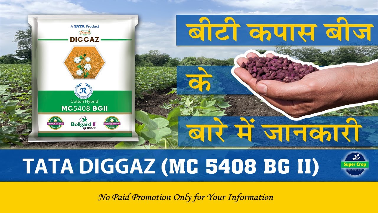 Tata Diggaz BG-II (MC5408)- बीटी कॉटन हाइबर्ड की जानकारी 👉टाटा दिग्गज ...