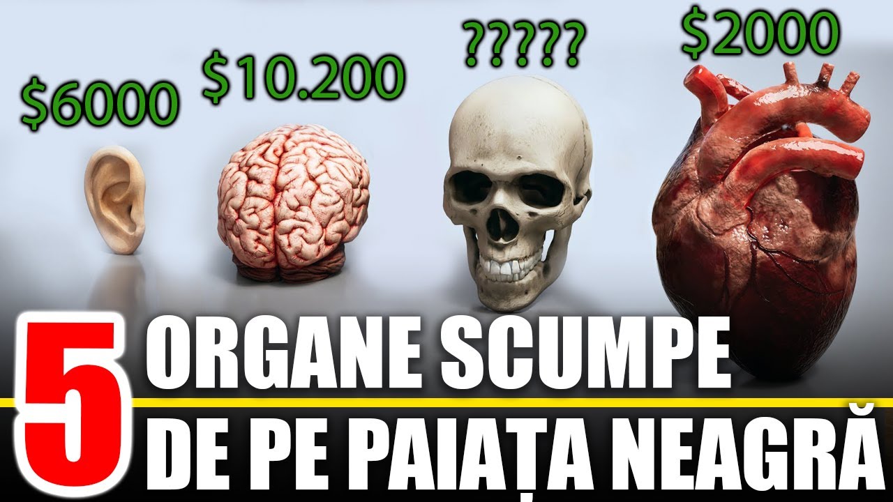 7 Cele Mai Scumpe Organe De Pe Piata Neagra - YouTube
