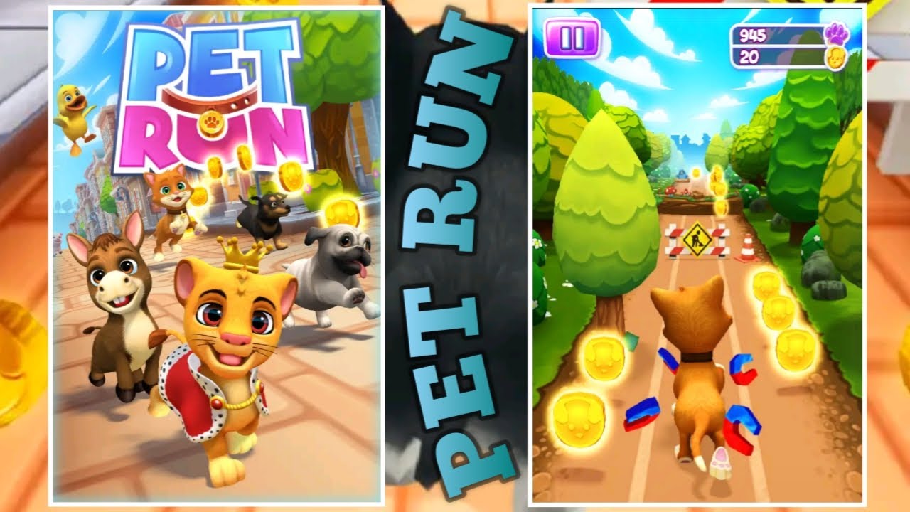 PET RUN - PUPPY DOG GAME - YouTube