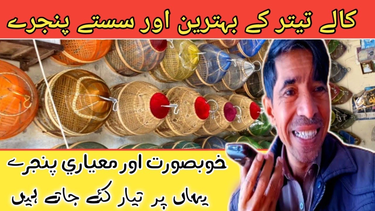 Cheap Price Teetar Cage in Thairhi Bypass 2024 | Beautiful Cage Maker ...