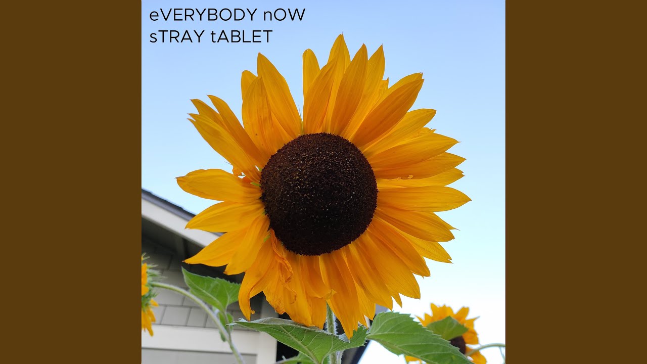 Everybody Now - YouTube