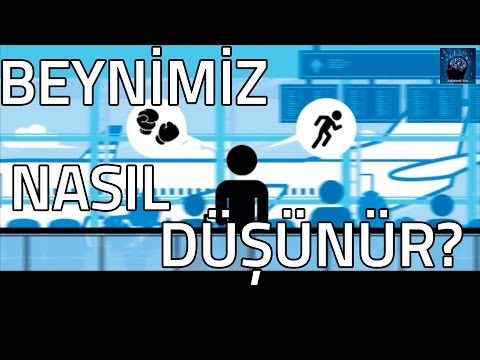 Beynimiz Nasıl Düşünür? Düşüncelerimiz Bizi Nasıl Etkiliyor?