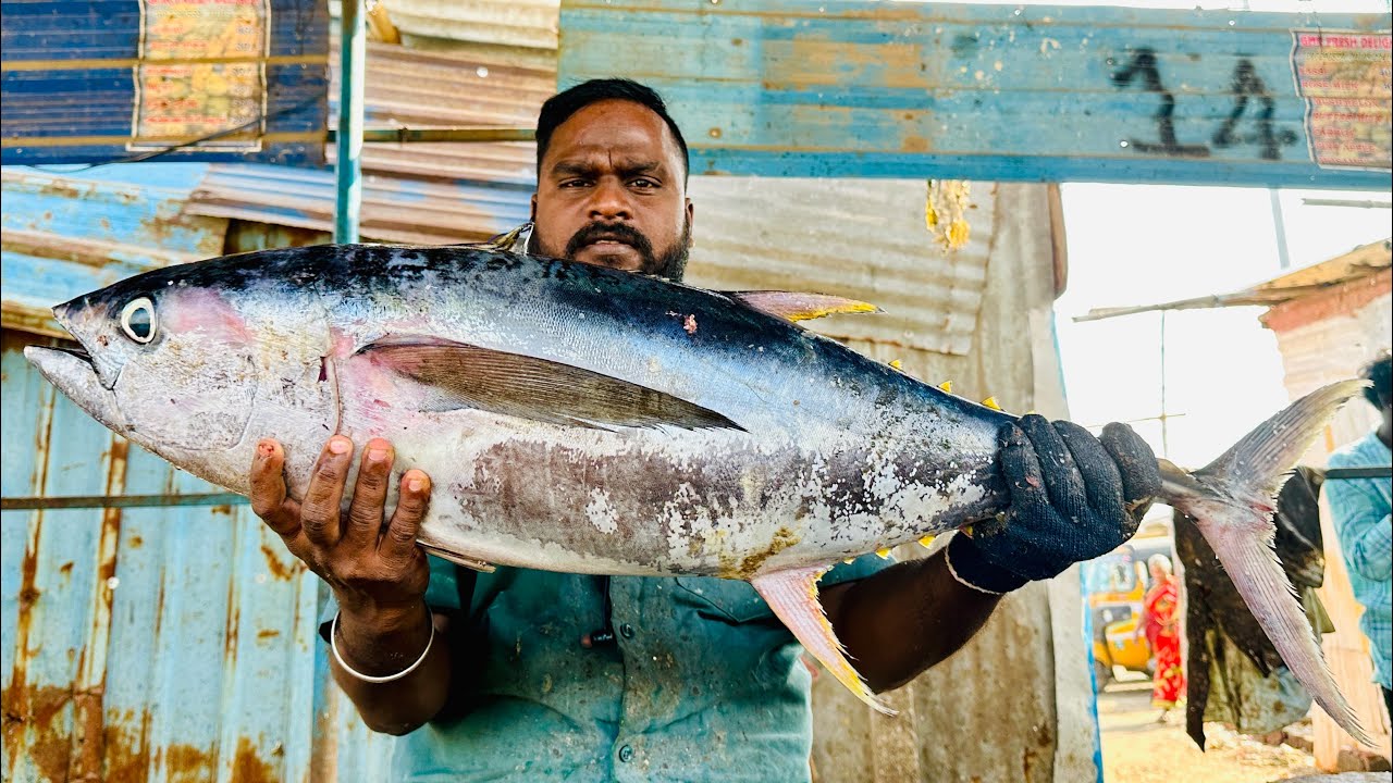 KASIMEDU🔥DAVID KUMAR BLUEFIN TUNA FISH CUTTING VIDEO / IN KASIMEDU FISH ...