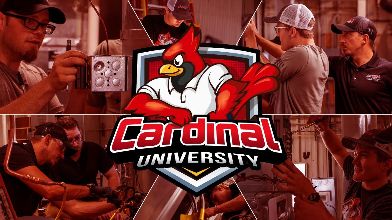 Cardinal University - YouTube