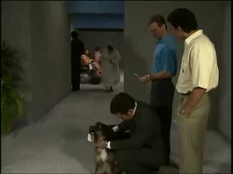 Marimar Capítulo 58 parte 1/5 dublado