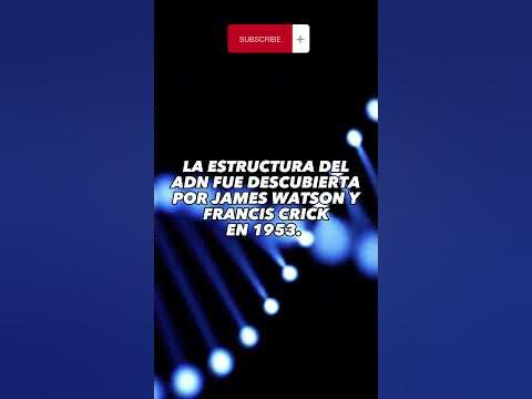 ¿Quién descubrió la estructura del ADN? - YouTube