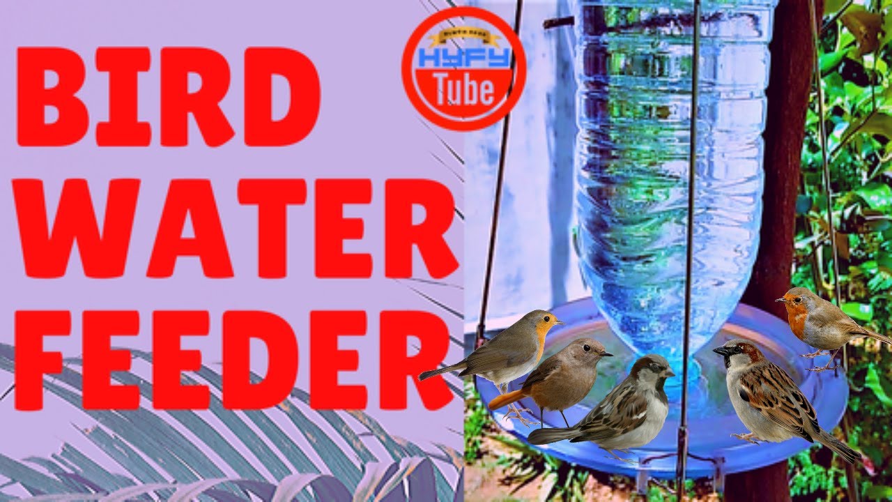Bird Water Feeder: How to Make Bird Water Feeder using Plastic Bottle ...