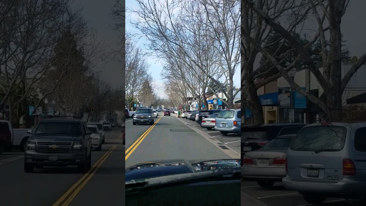 Downtown Novato Drive: Exploring the Heart of California | BayDrive ...