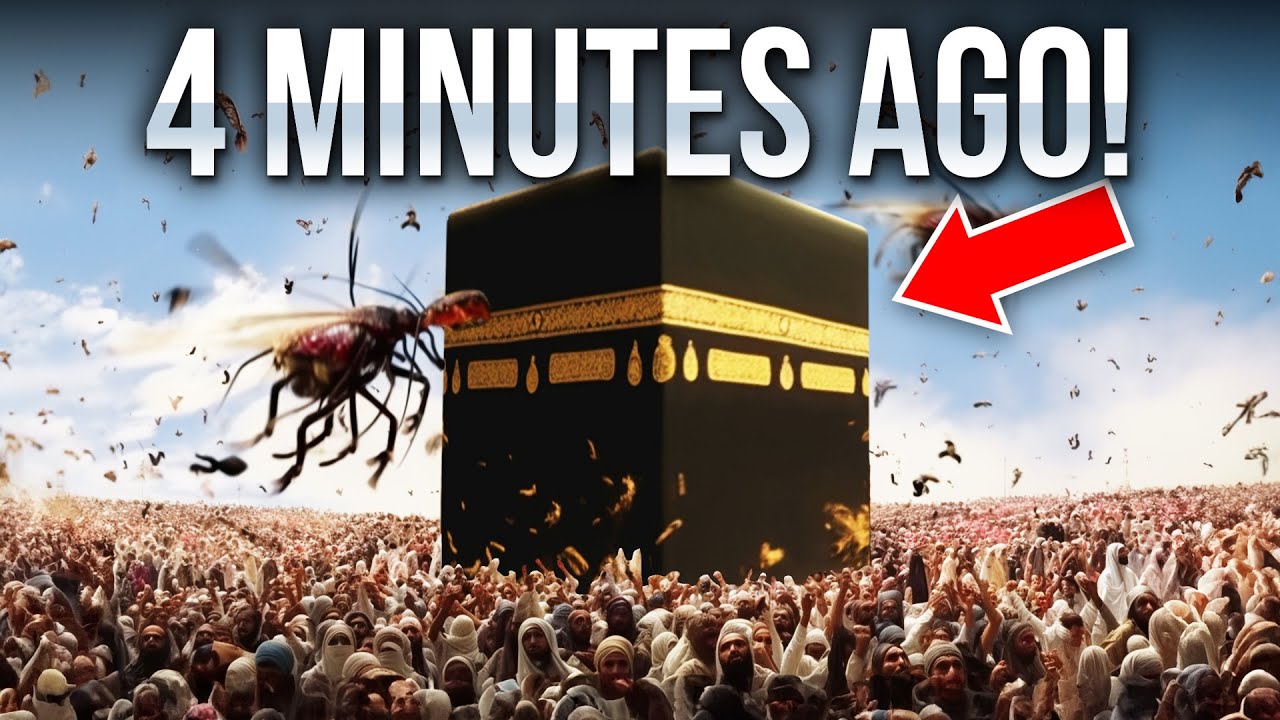 Strange Insects INVADE Kaaba In Mecca And TERRIFIES Muslims! - YouTube