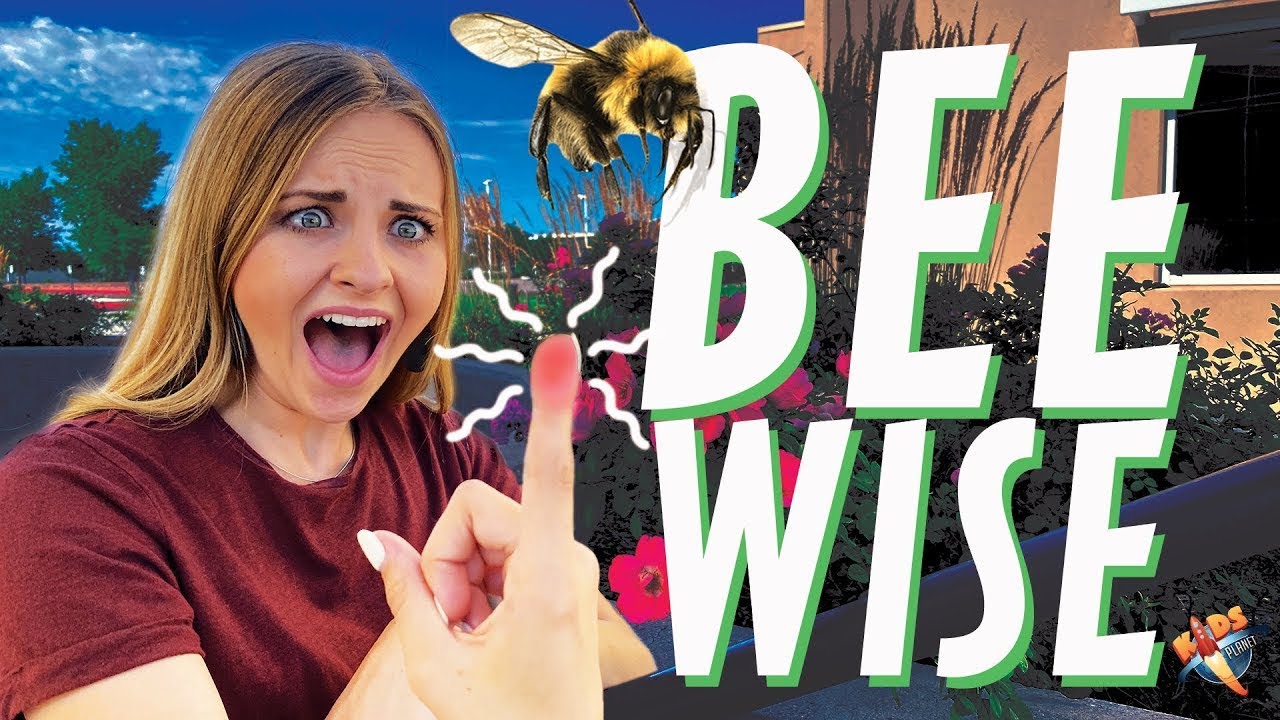 Wise: Episode 1 - True wisdom comes from God - YouTube