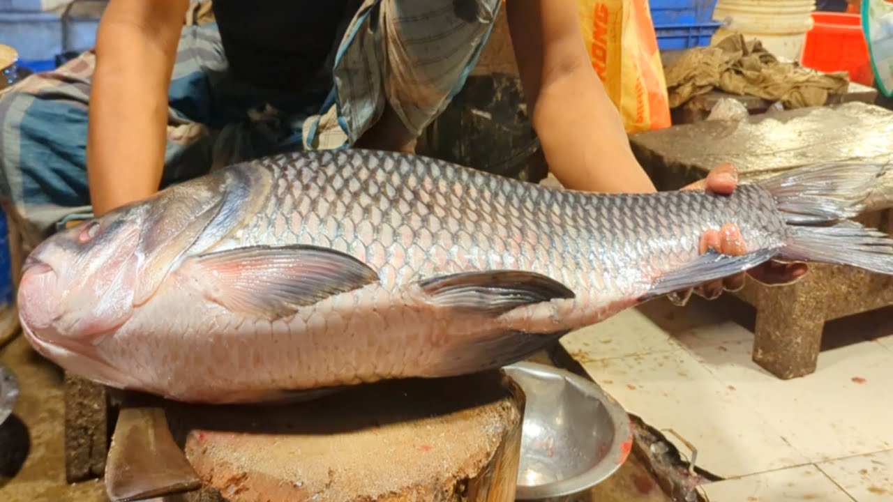15 Kg Giant Catla Carp Fish Cutting & Skinning Skills In Dhaka Fish ...