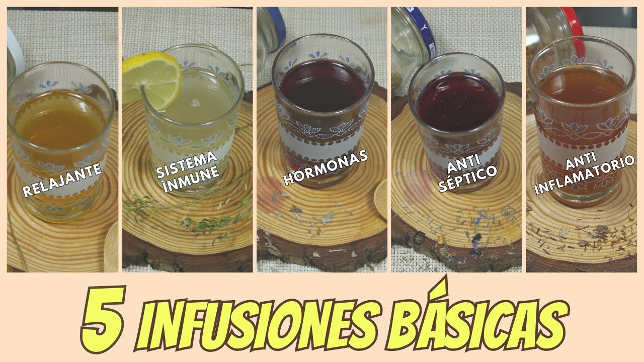 5 Infusiones de plantas medicinales que deberías tener ☕ 🌸 ¿Y en verano ...