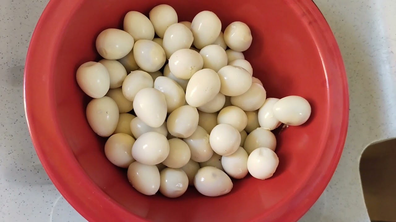 Gawin mo ito sa Itlog ng Pugo...Great Income! - YouTube