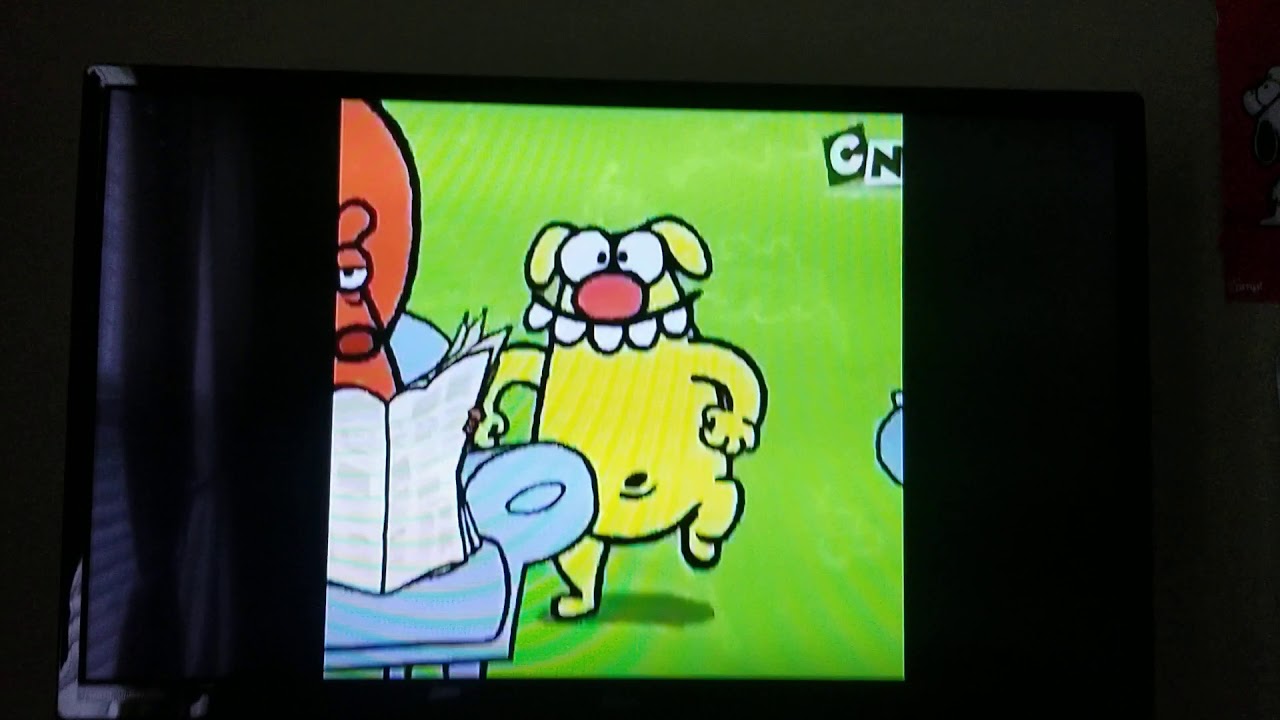 Best Ed Intro(Polish) - YouTube