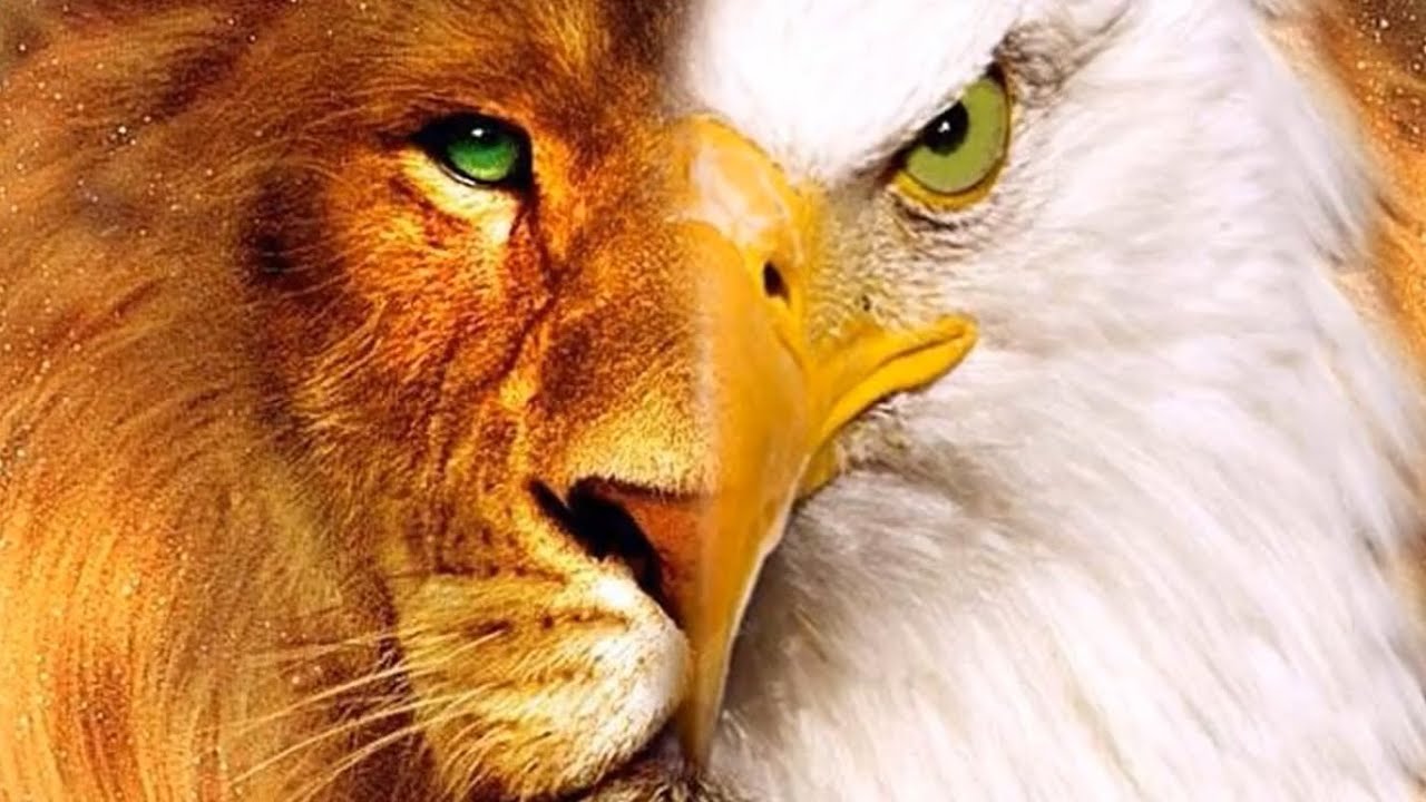 LA MARCHA DEL LEON - JAVIER MILEI Acordes - Chordify