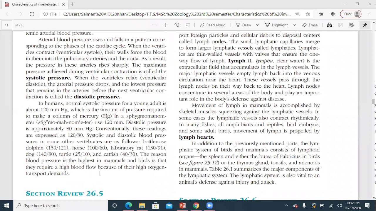 Comparative Animal Anatomy and Physiology - YouTube