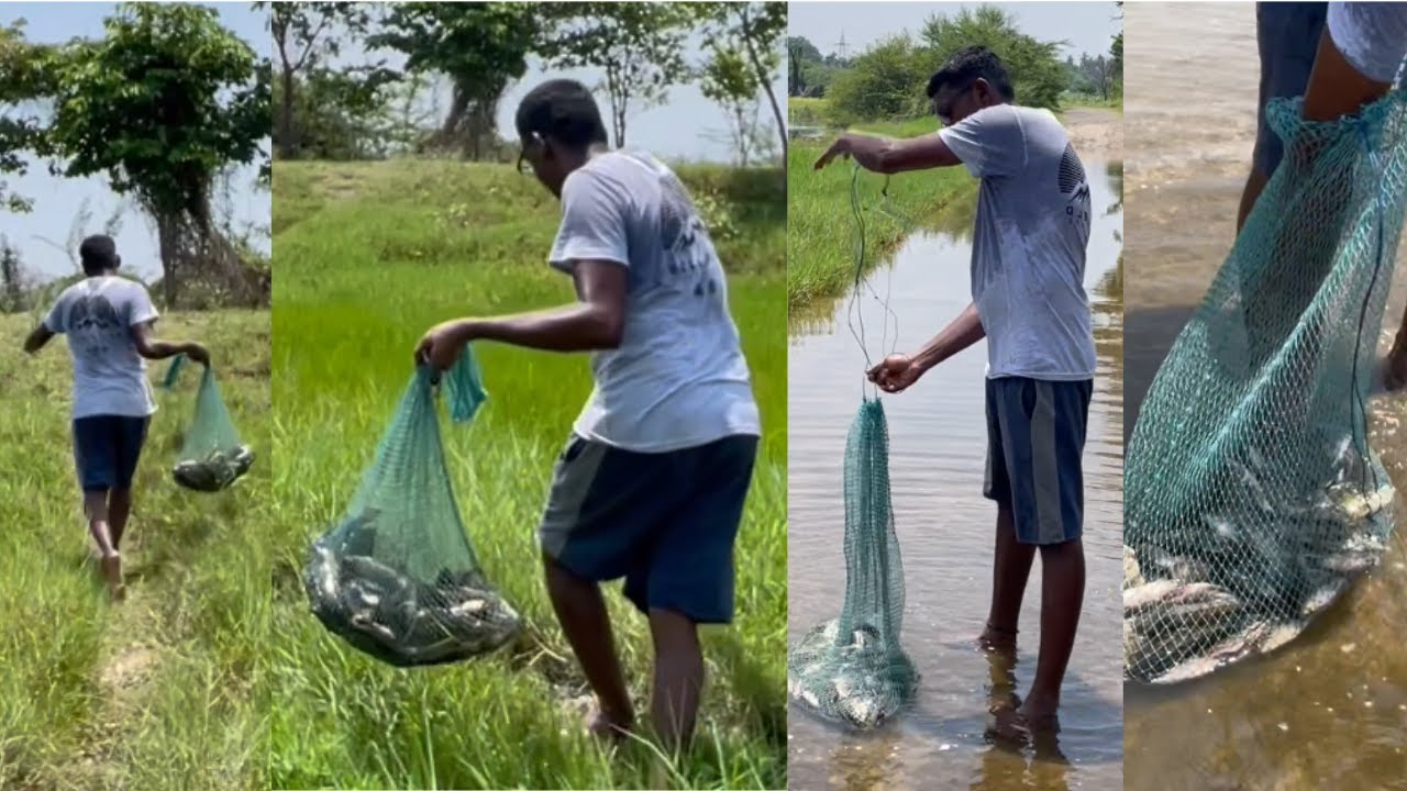 10KG Jilebi Fishing by Hand #fishing #fishingvideo #fish - YouTube