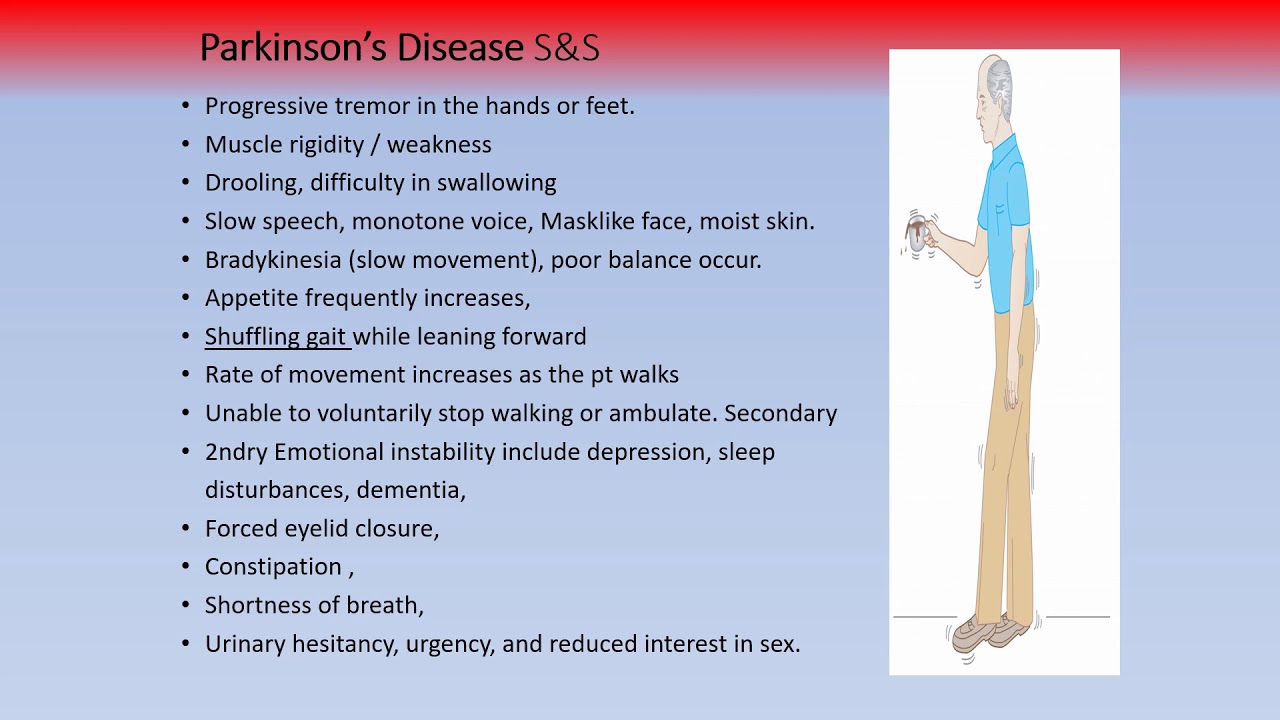 Lesson 4 Effect of Aging on Neurological System - YouTube