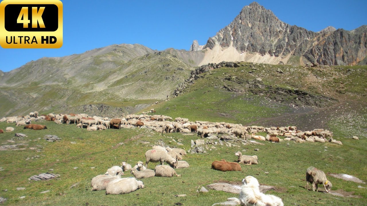 Great video after a hard Monday! - YouTube