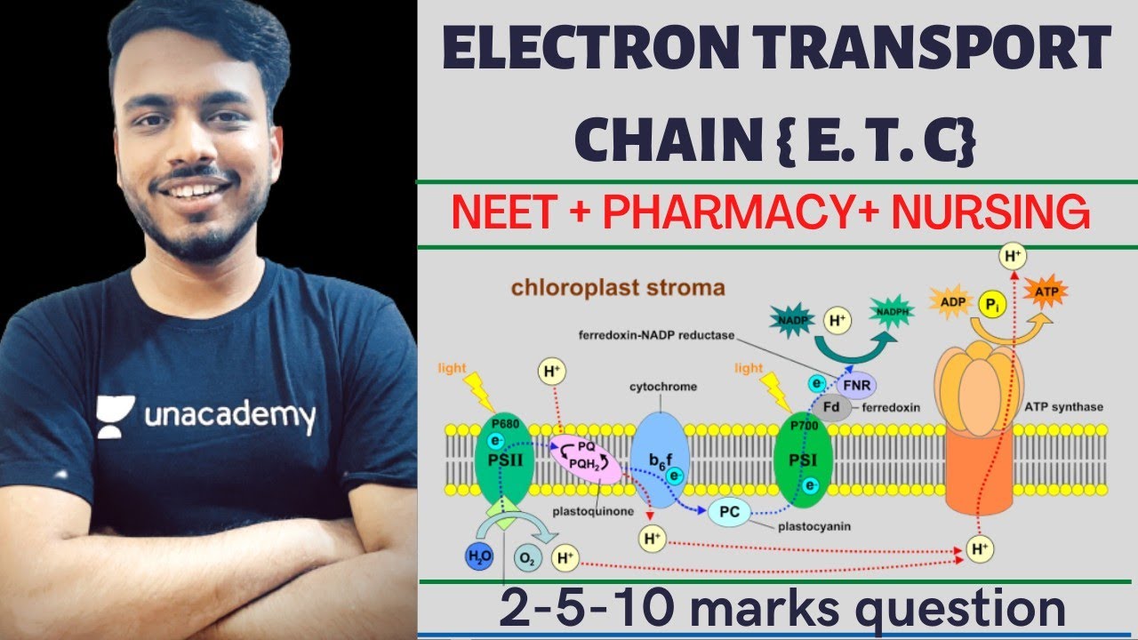 electron transport chain and its mechanism | biological oxidation ...
