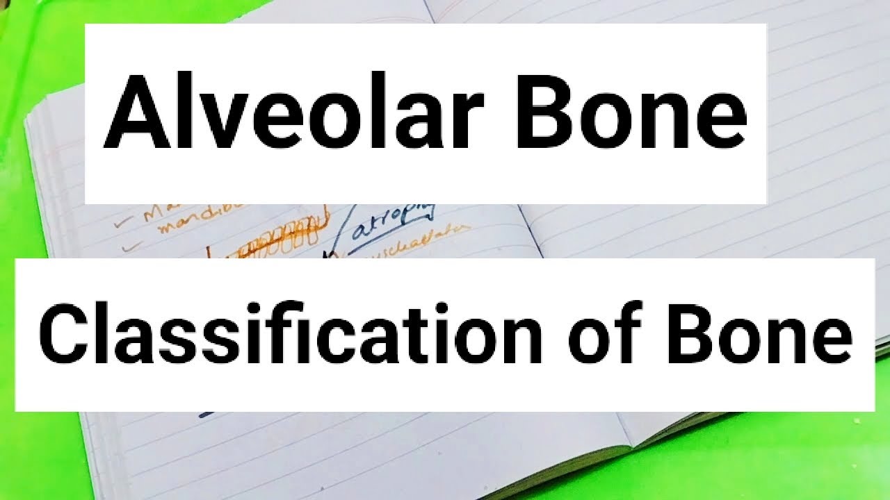 Alveolar Bone// Introduction // Classification of Bone #AlveolarBone ...