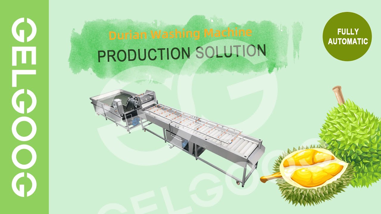 Durian Cleaning Machine Durian Sterilizer for Farm - YouTube