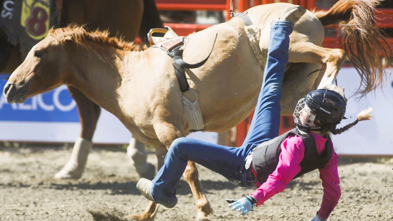 The Mini Broncs were Wild at the Cochrane Lions Rodeo - YouTube