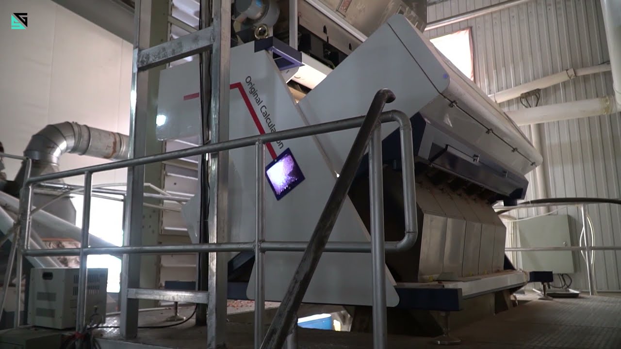 SG Peanut/Groundnut sorting machine/sortex machine - YouTube