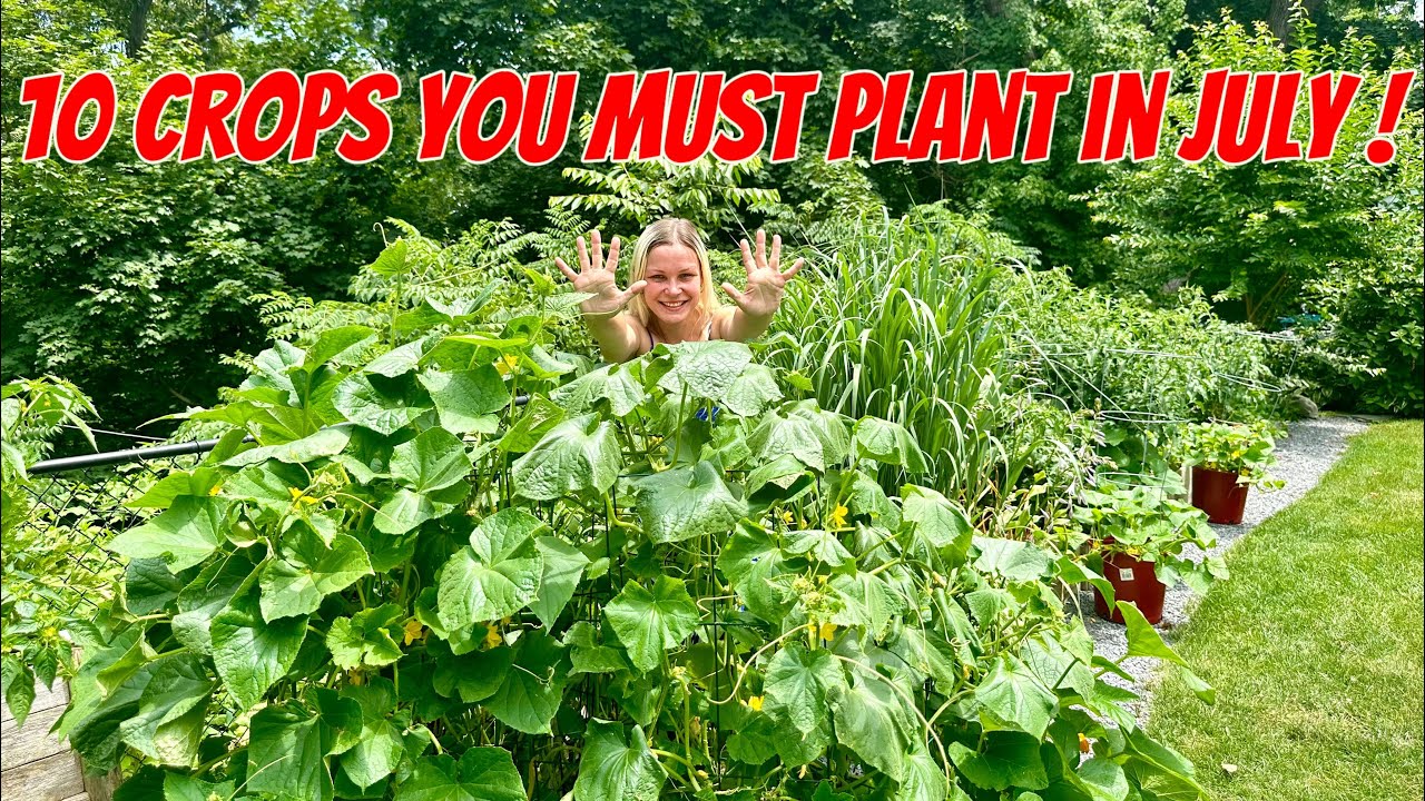 10 Crops To Plant In July RIGHT NOW ! - YouTube