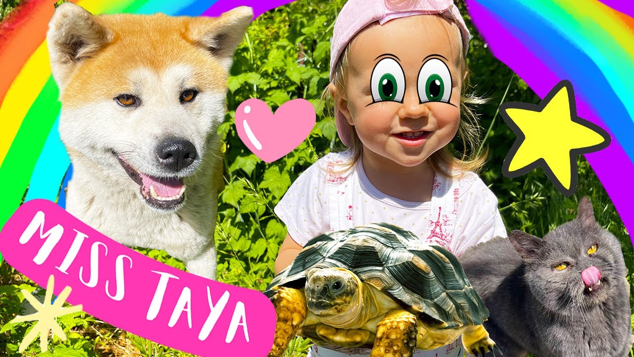 Found a BIGTurtle in the garden Miss Taya is shocked - YouTube